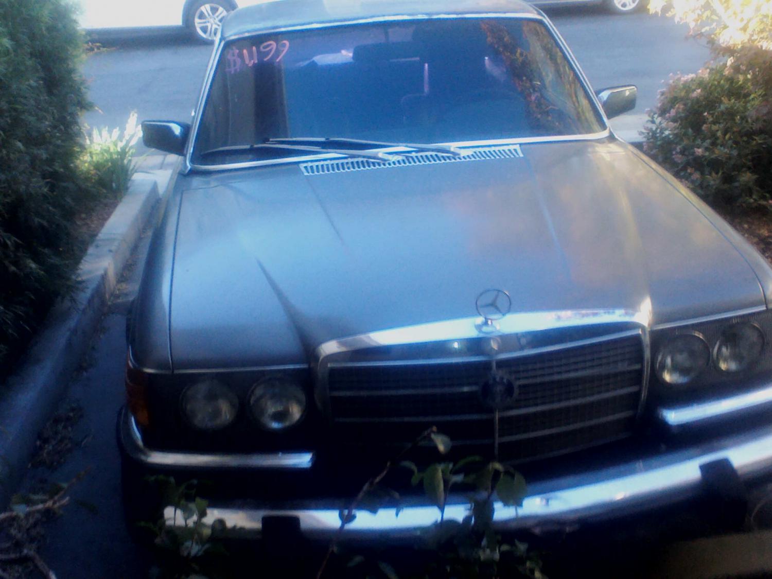 Inroducing 'Stormcloud' '79 W116 300SD - PeachParts Mercedes-Benz Forum